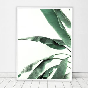Banana Leaves Print, Tropical Wall Art, Green Leaves Poster, Banana ...