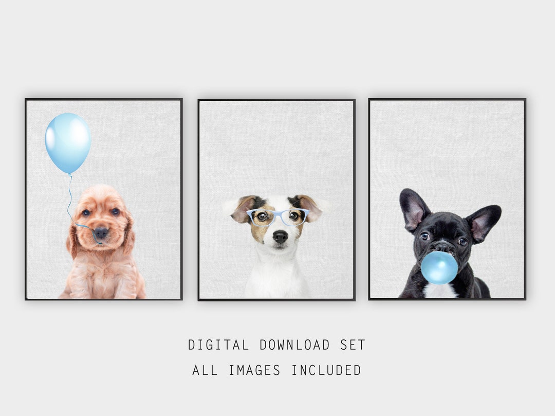 Cute Puppies, Nursery Wall Art, Dog Prints, Set of 3, Light Blue ...