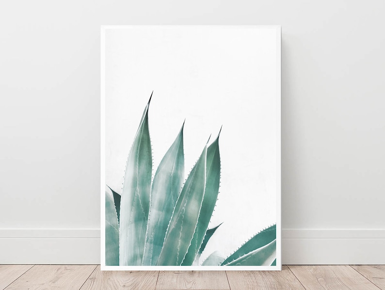 Aloe Vera Print Cactus Printable Art Succulent Wall Decor - Etsy