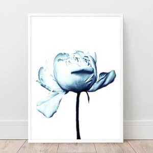Blue Peony Print, Peony Wall Art, Flower Photography, Minimal Decor ...