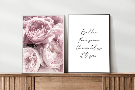 Peonies Quotes Consider Yourself Like A Beautiful Flower. We All Bloom