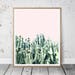 Cactus Print Succulent Wall Art Plant Poster Nature Photography ...