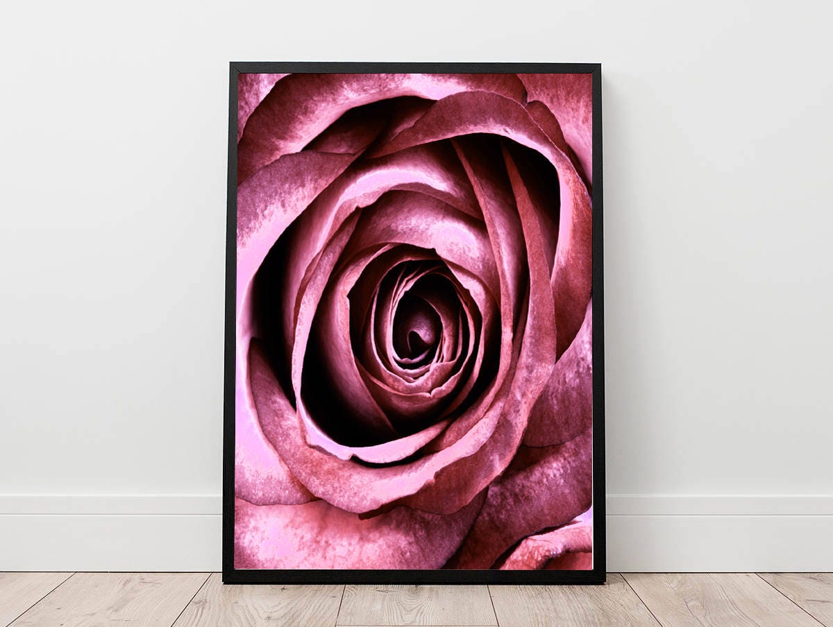 Rose print rose wall art pink flower wall art floral | Etsy