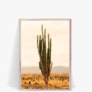 Desert Cactus Print, Printable Wall Art, Home Decor, Desert Print ...