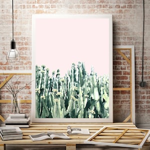Cactus Print Succulent Wall Art Plant Poster Nature Photography ...