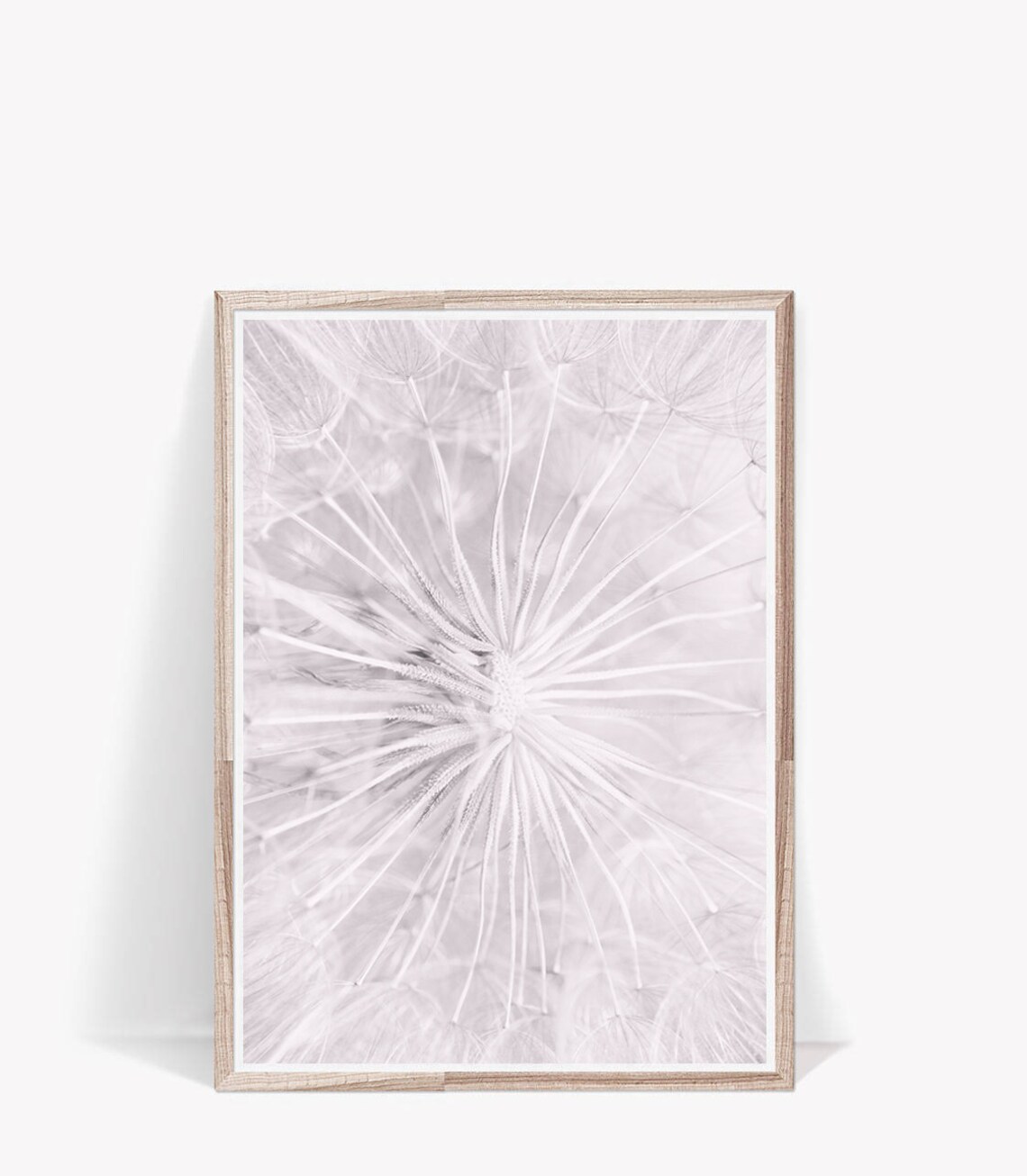Dandelion Photography Dandelion Print Nature Wall Art - Etsy