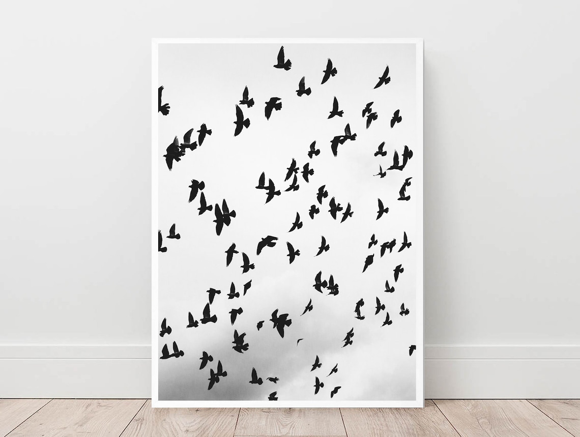 Birds Print Birds Abstract Black and White Flying Birds - Etsy