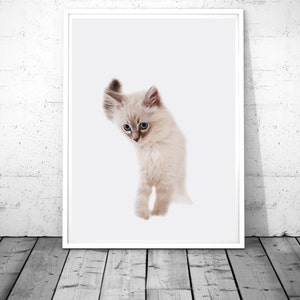 Set of 4 Cat Prints, Nursery Wall Art, Kitties Printable Art, Kitty ...