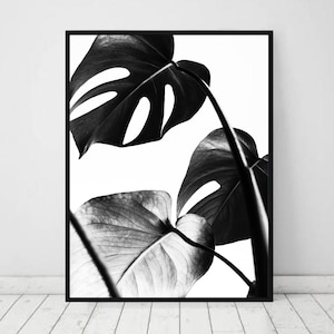 Monstera Print, Tropical Leaves Wall Art, Plant Poster, Black and White ...
