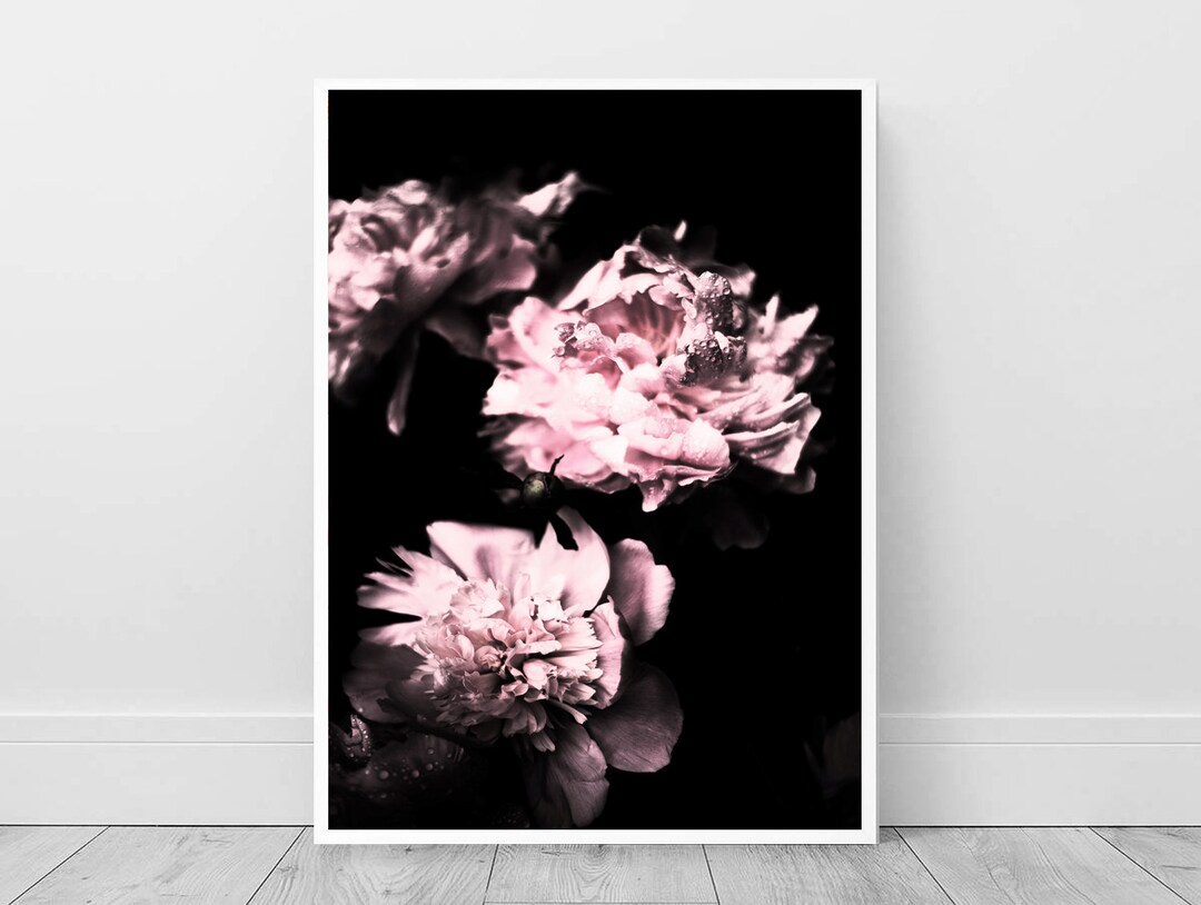 Peonies Print, Blush Pink Poster, Flower Wall Art, Nature Photography ...