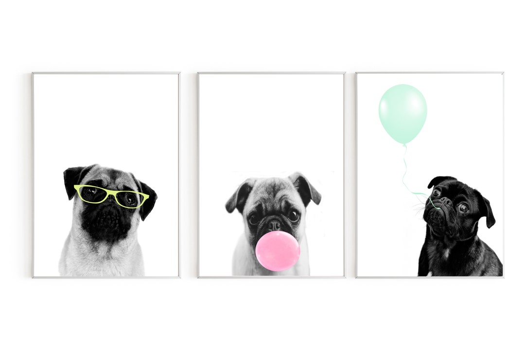 Pug Prints, Kids Bedroom Wall Art, Set of 3, Lime Green Glasses, Puppy ...