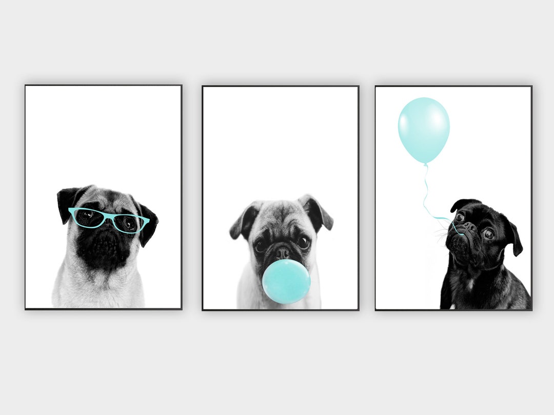 Pug Prints, Kids Bedroom Wall Art, Set of 3, Teal Glasses, Puppy ...