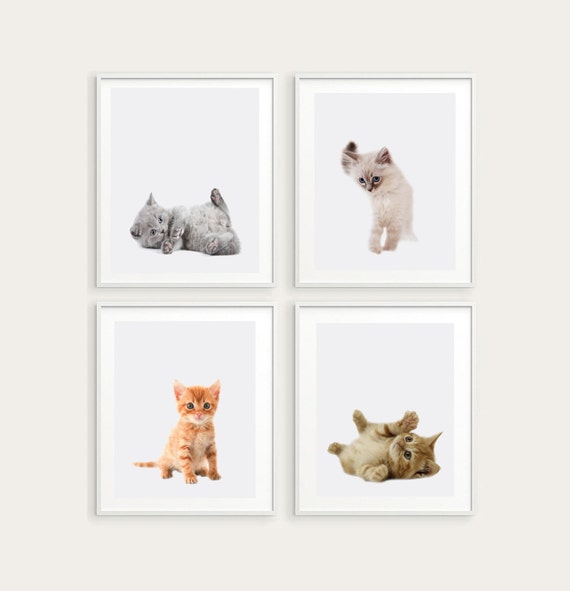 Set of 4 cat prints nursery wall art kitties printable art | Etsy