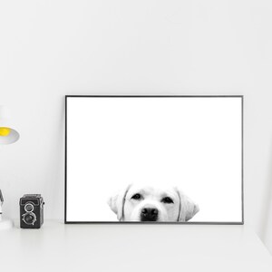 Labrador Print, Picaboo Puppy Poster, Minimal Wall Decor, Labrador ...