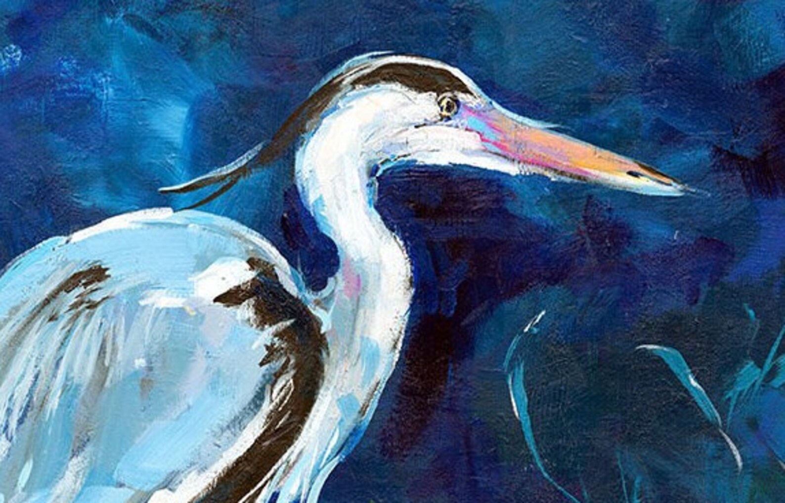 Midnight Heron: Fine Art Heron Print From Original Heron - Etsy