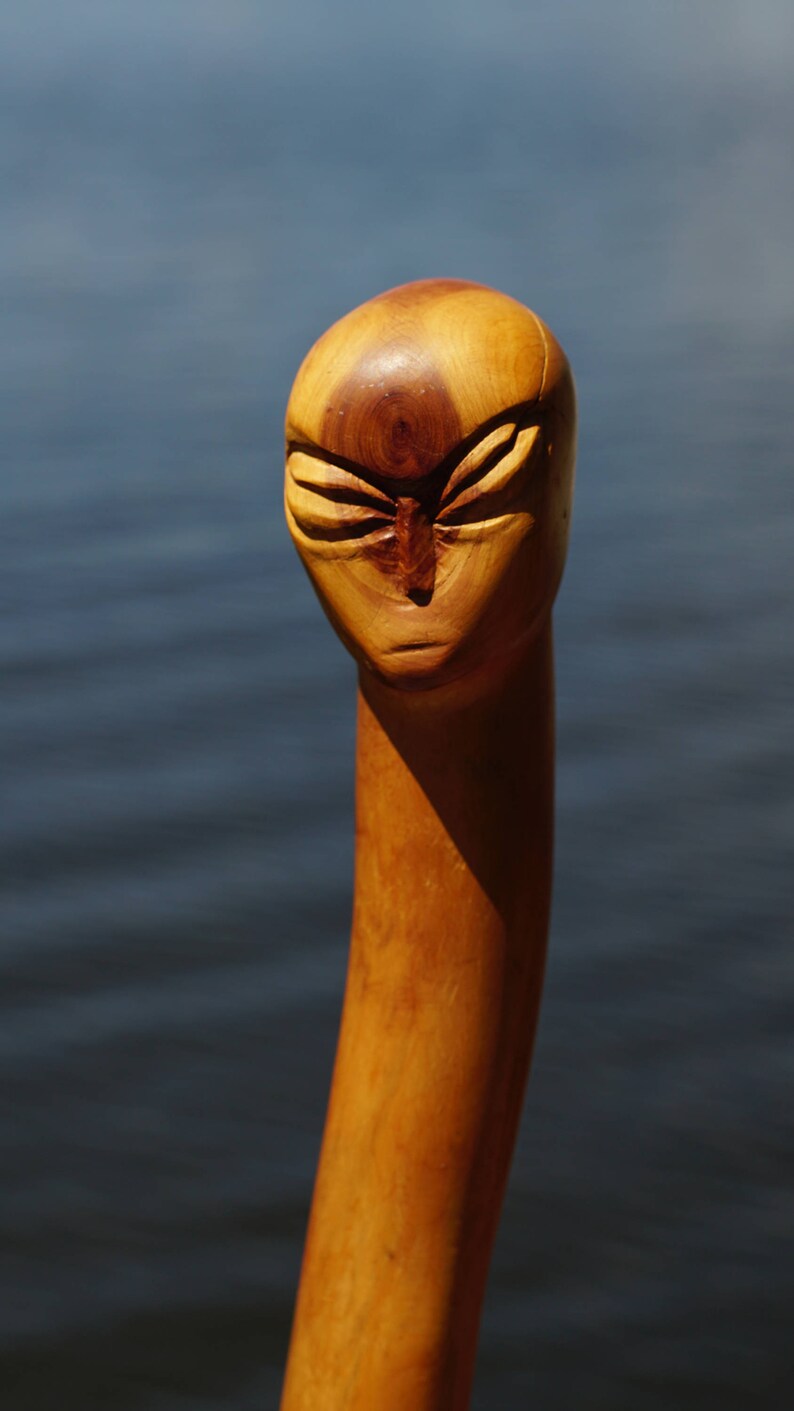 Alien Head Walking Stick - Etsy UK