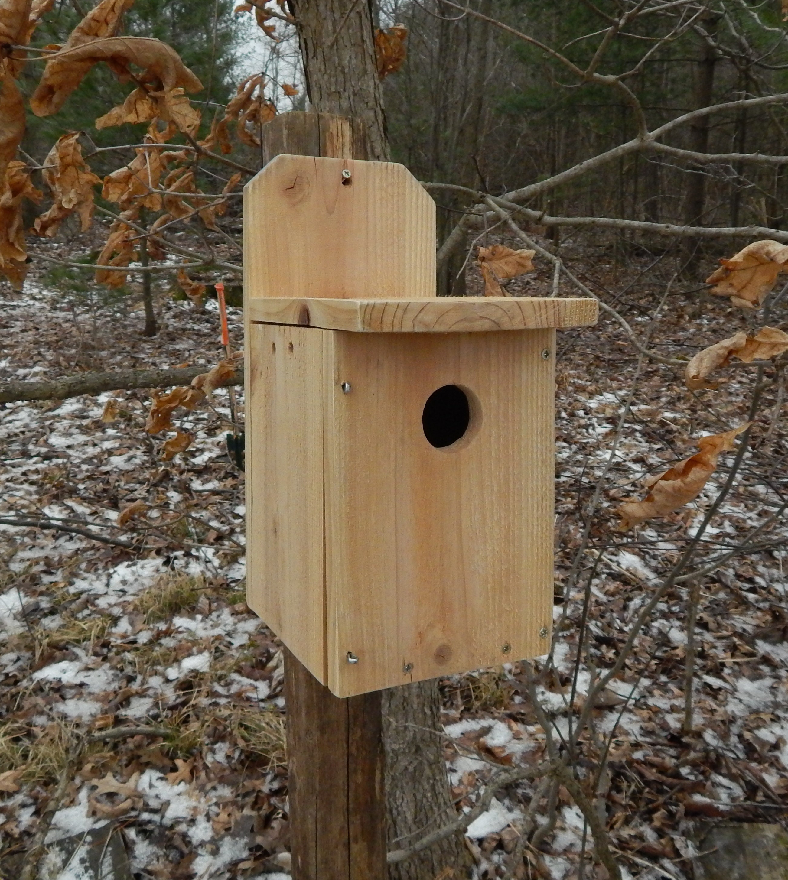 Quick Easy Birdhouse Plans WITHOUT TOUCHING a SAW and Under 5 Dollars ...