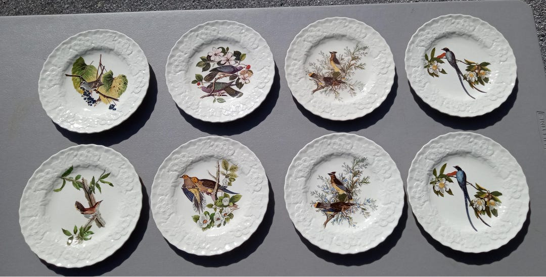 Alfred Meakin Rare Birds of America Plates Set of 6 - Etsy