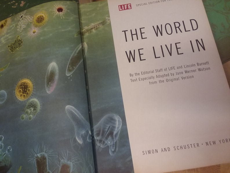 The World We Live In 1956 Special Edition for Young Readers | Etsy