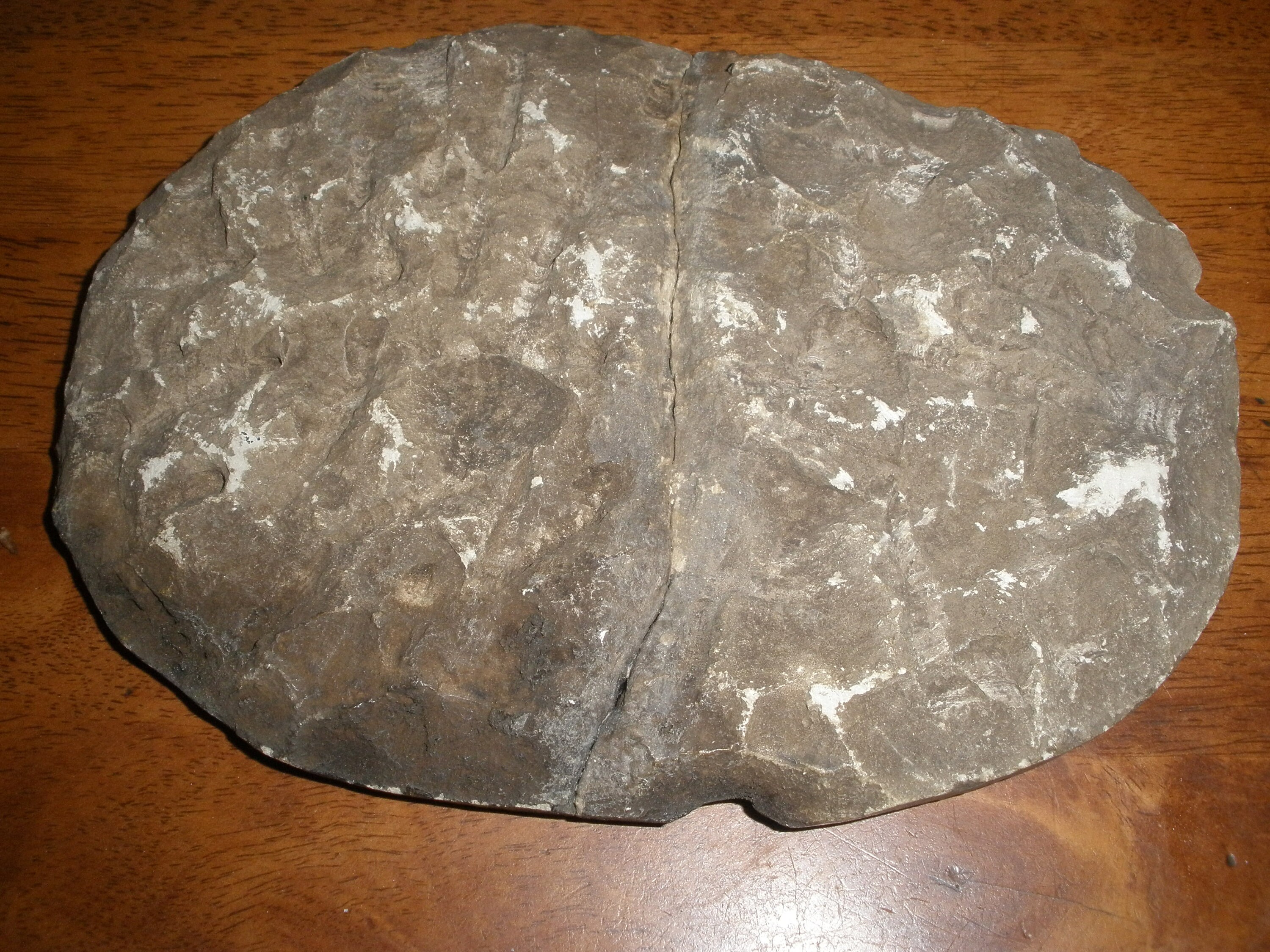 ANCIENT EGYPT , Stone Scarab & Boat Stone Antique - Etsy