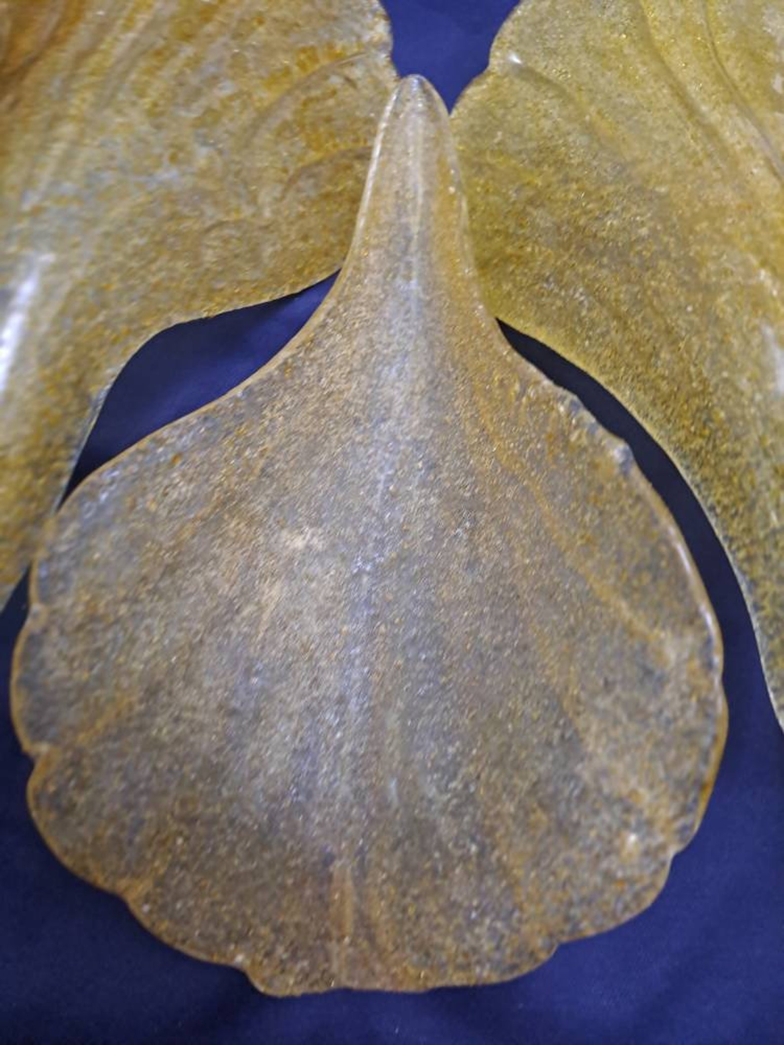 Vintage 5 Pieces Golden Sandy Glass Shell Shade - Etsy