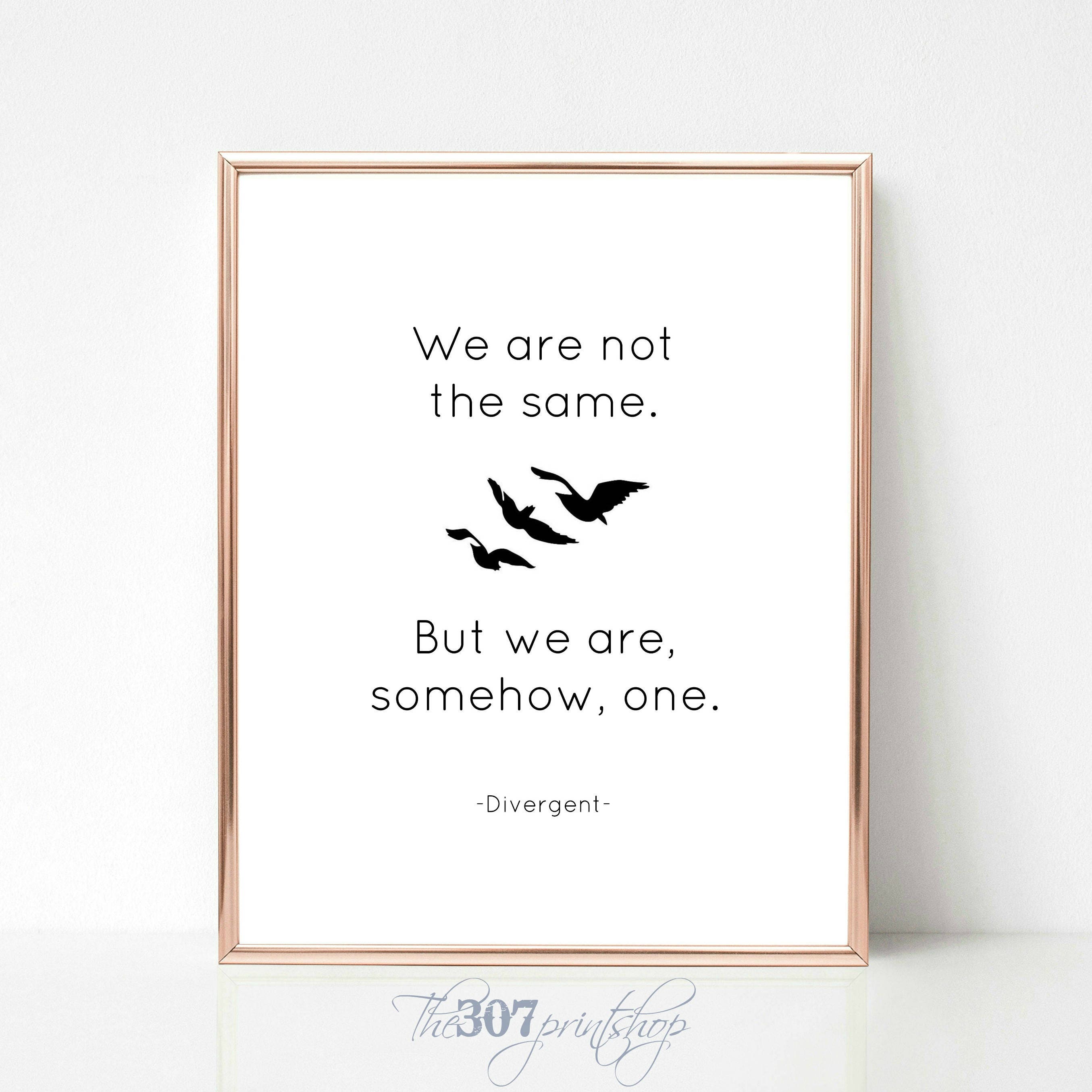 Divergent Book Quotes Tris