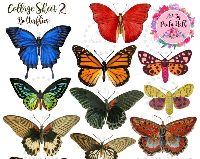 Collage 2 Butterflies - Etsy
