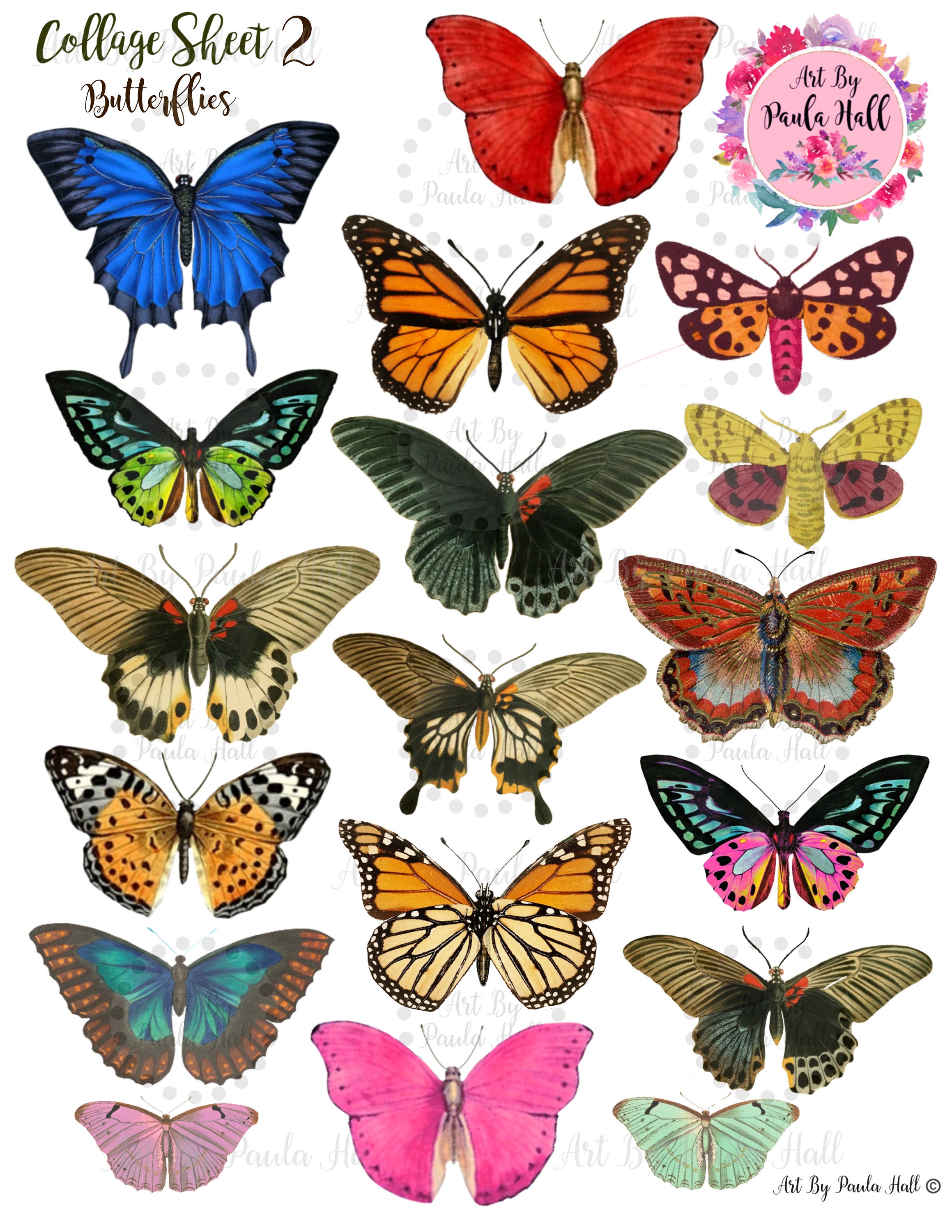 Collage 2 Butterflies - Etsy