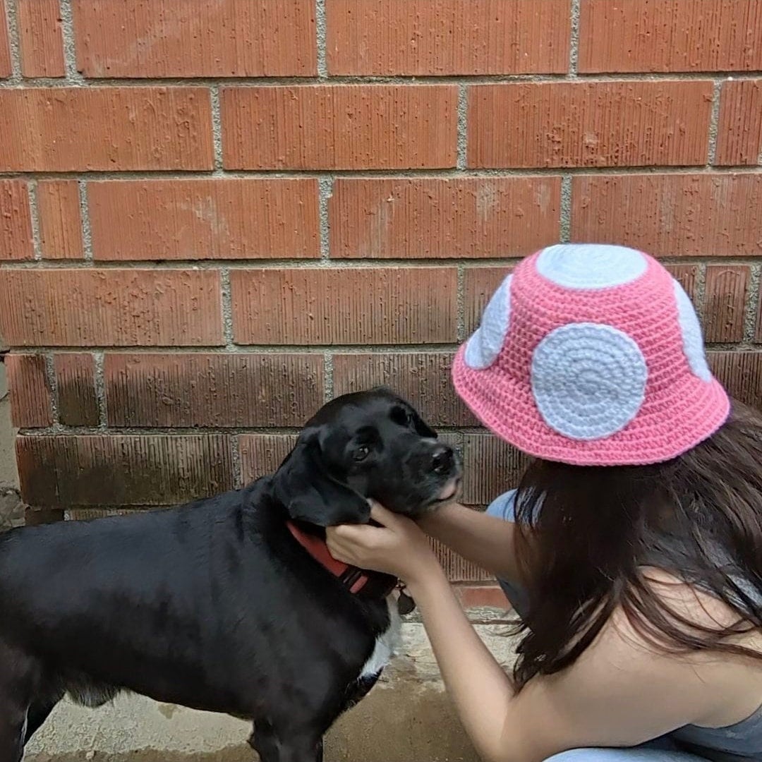 Super Mario Toadette Bucket Hat - Etsy