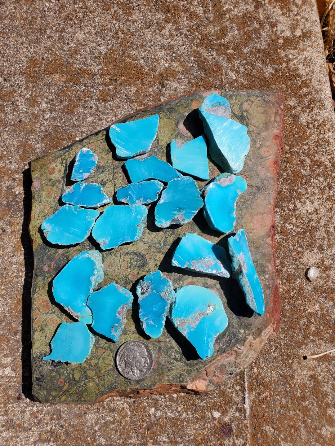 Blue Bird Turquoise Rough Cut Slabs, Small, 10 Gram Lots - Etsy