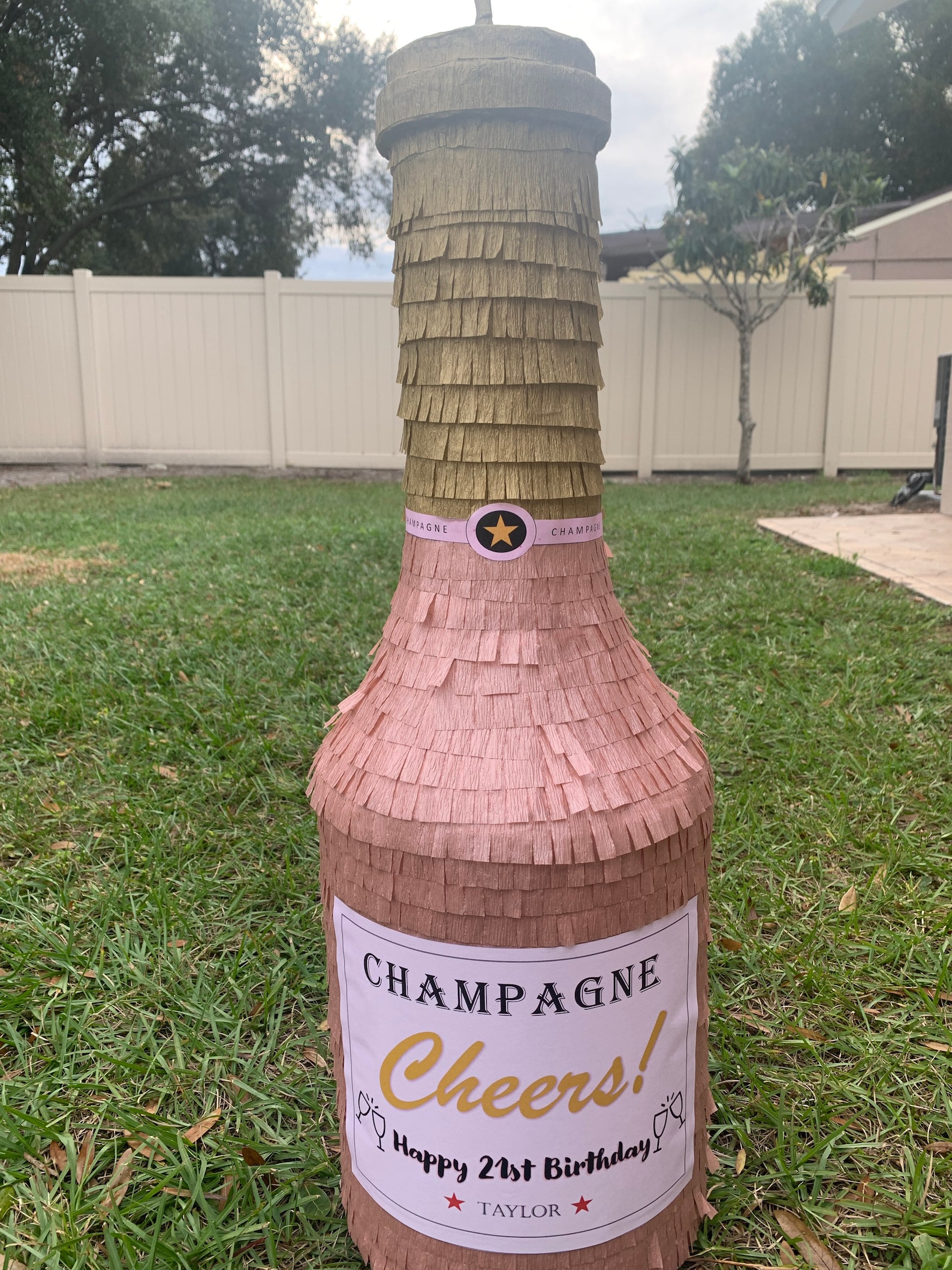 Champagne Bottle Pinata 3D. 28in Tall. Party Decoration - Etsy