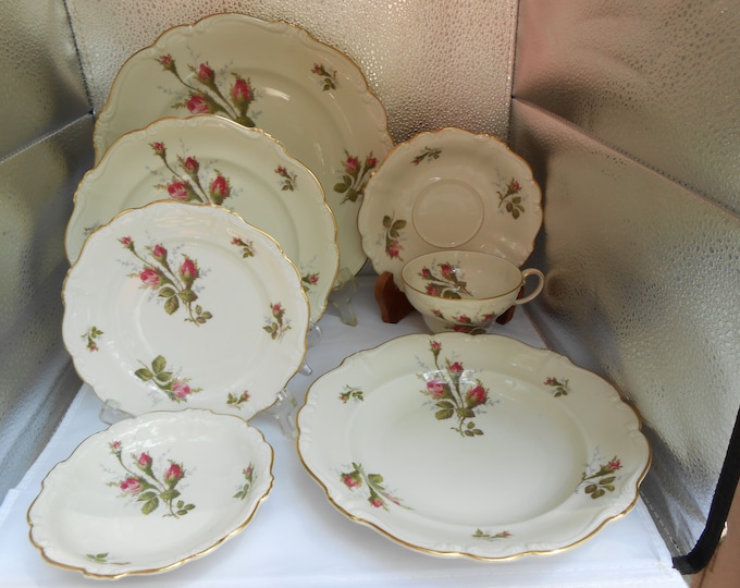 28 Pc Rosenthal Pompadour Selb Germany Moss Rose Dinnerware Lot Dinner ...