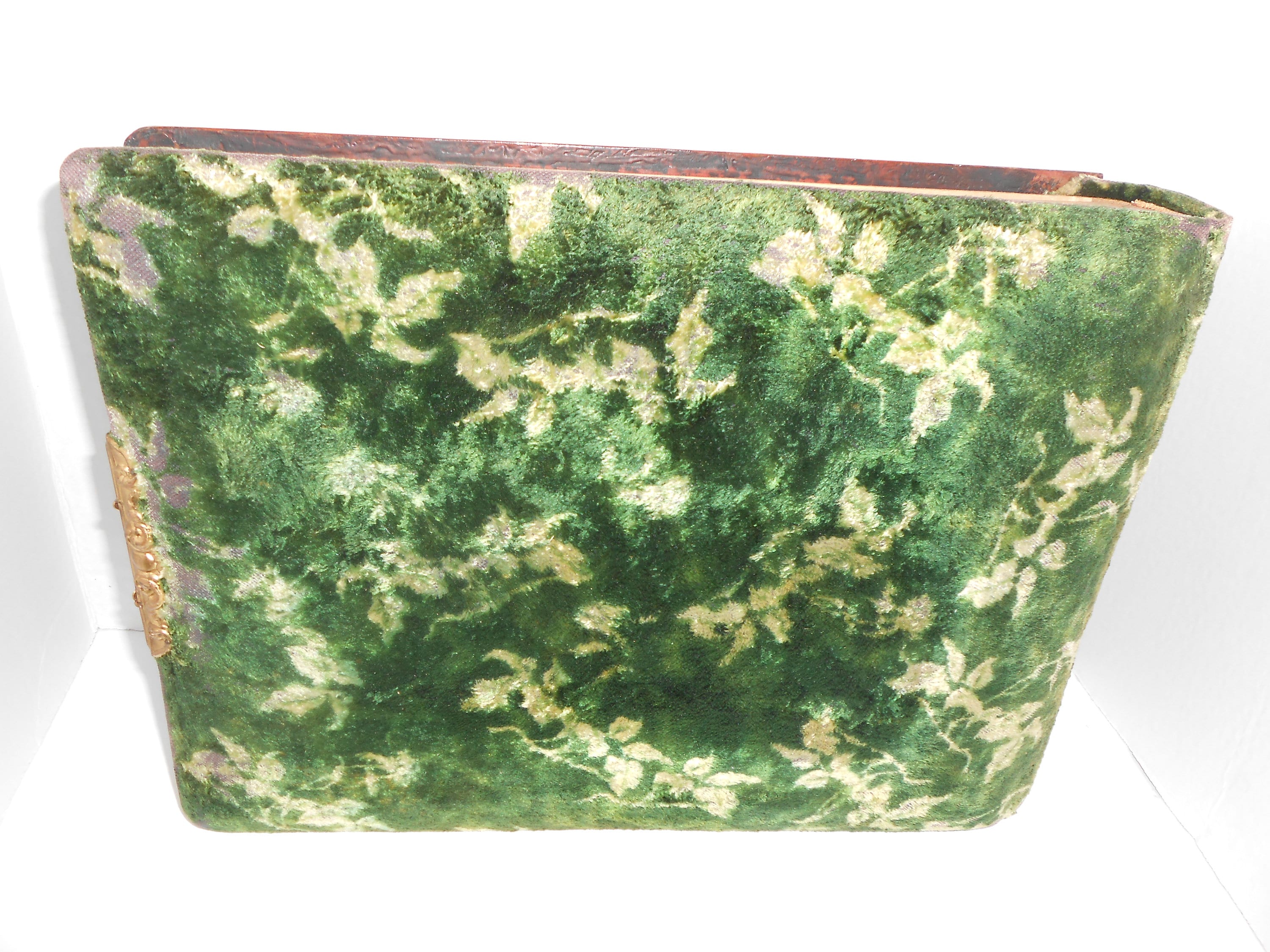 Antique Photo Album Celluloid Cover VICTORIAN Deer Buck Stag Hunting ...