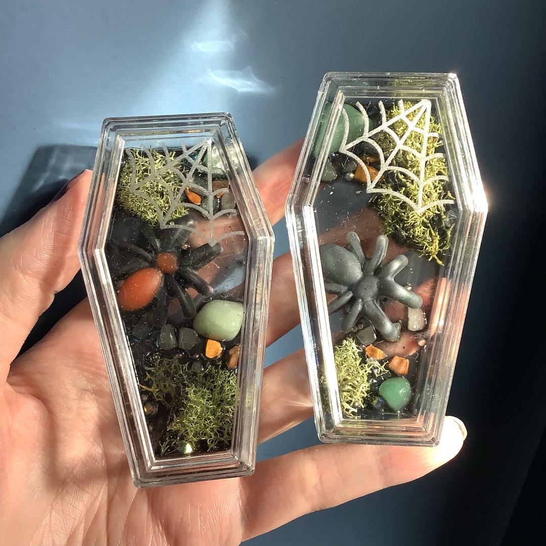 Mini Coffin Jumping Spider Terrarium Display Trinket Dish Jewelry Tray ...