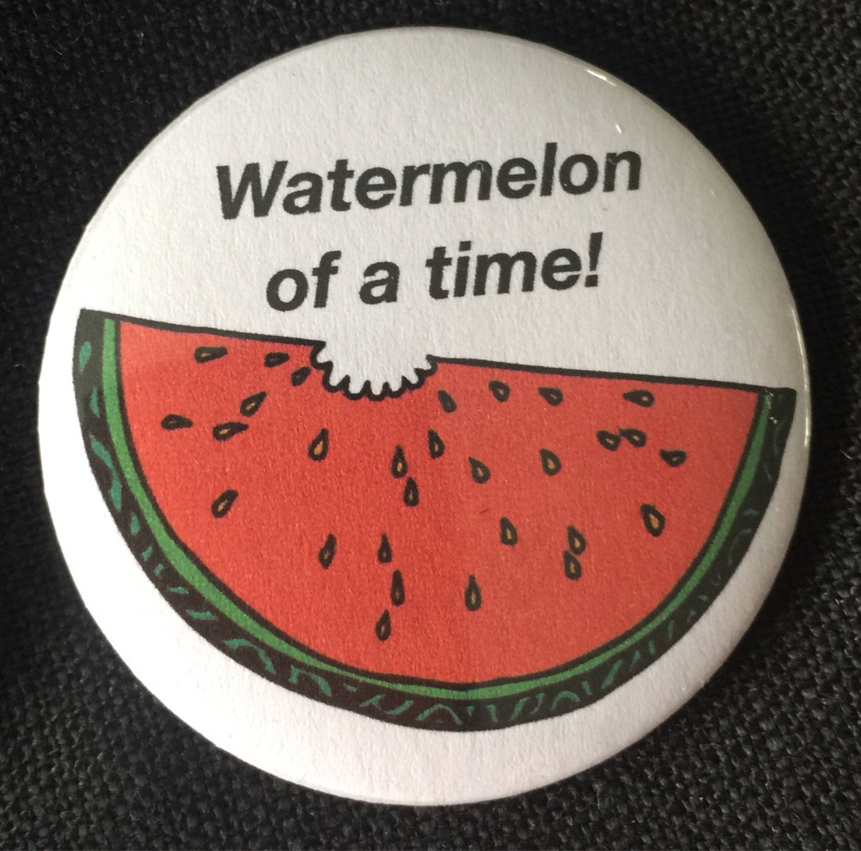 Watermelon Trending Meme Brooch Quotes Icecream Kids - Etsy