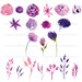 Watercolor Floral Clip Art, Pink and Purple Flowers Clip Art, Hand ...