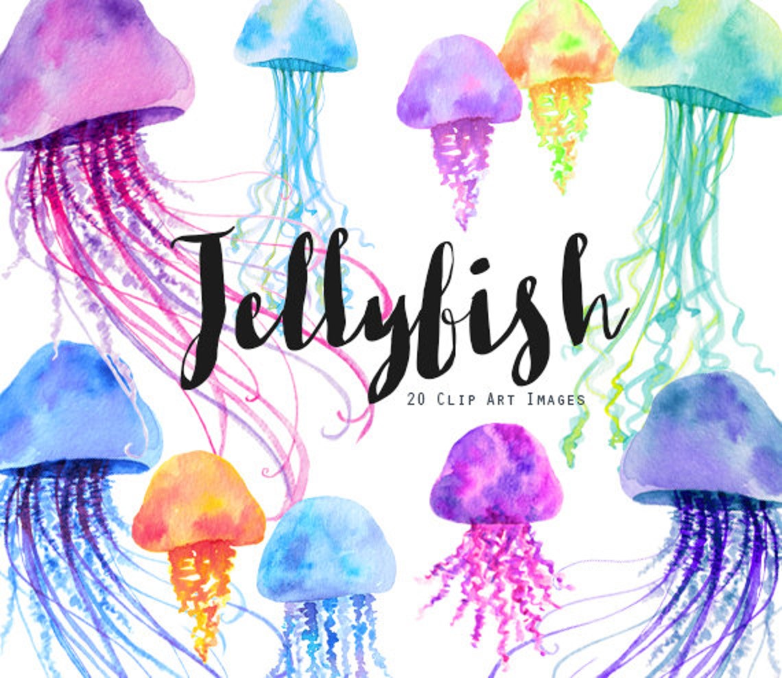 Watercolor Jellyfish 20 Clip Art Images PNG Instant Download ...