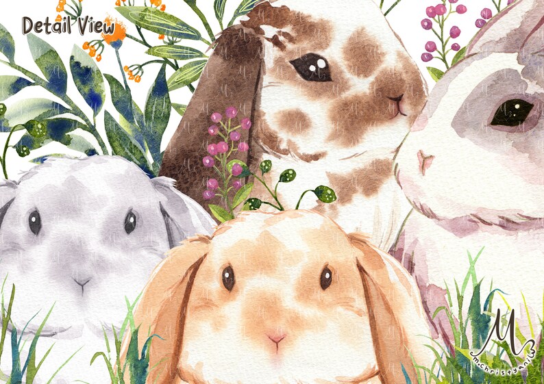 Spring Easter Bunny Clip Art Set, Watercolor Clip Art, Seamless Borders ...