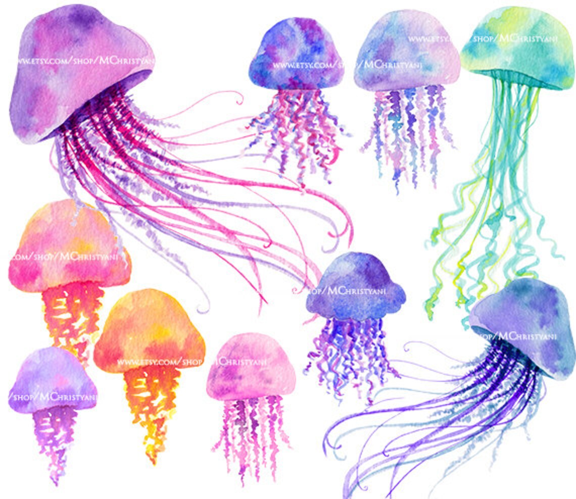 Watercolor Jellyfish 20 Clip Art Images PNG Instant Download ...