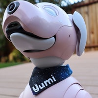 Vinyl AIBO Tongue Decals | ERS-1000, 7, 210, 11X - Etsy