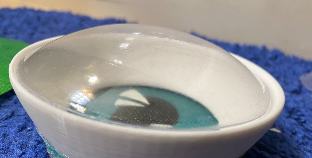 Plastic Clear Kemono Eye Covers - Etsy
