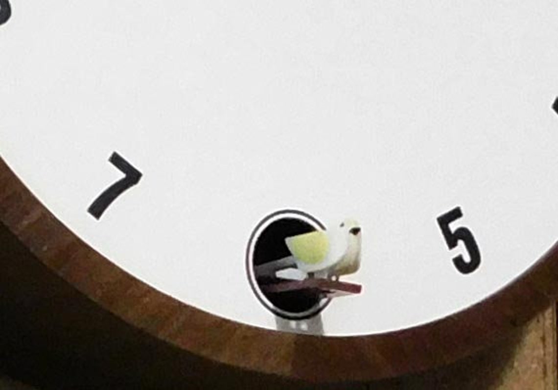 Cuckoo Clock White Dial and Black Numbers - Etsy