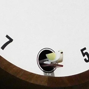 Cuckoo Clock White Dial and Black Numbers - Etsy