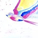 Swallow Bird Original Painting Colourful, Vibrant Wall Art 9x12, Spring ...