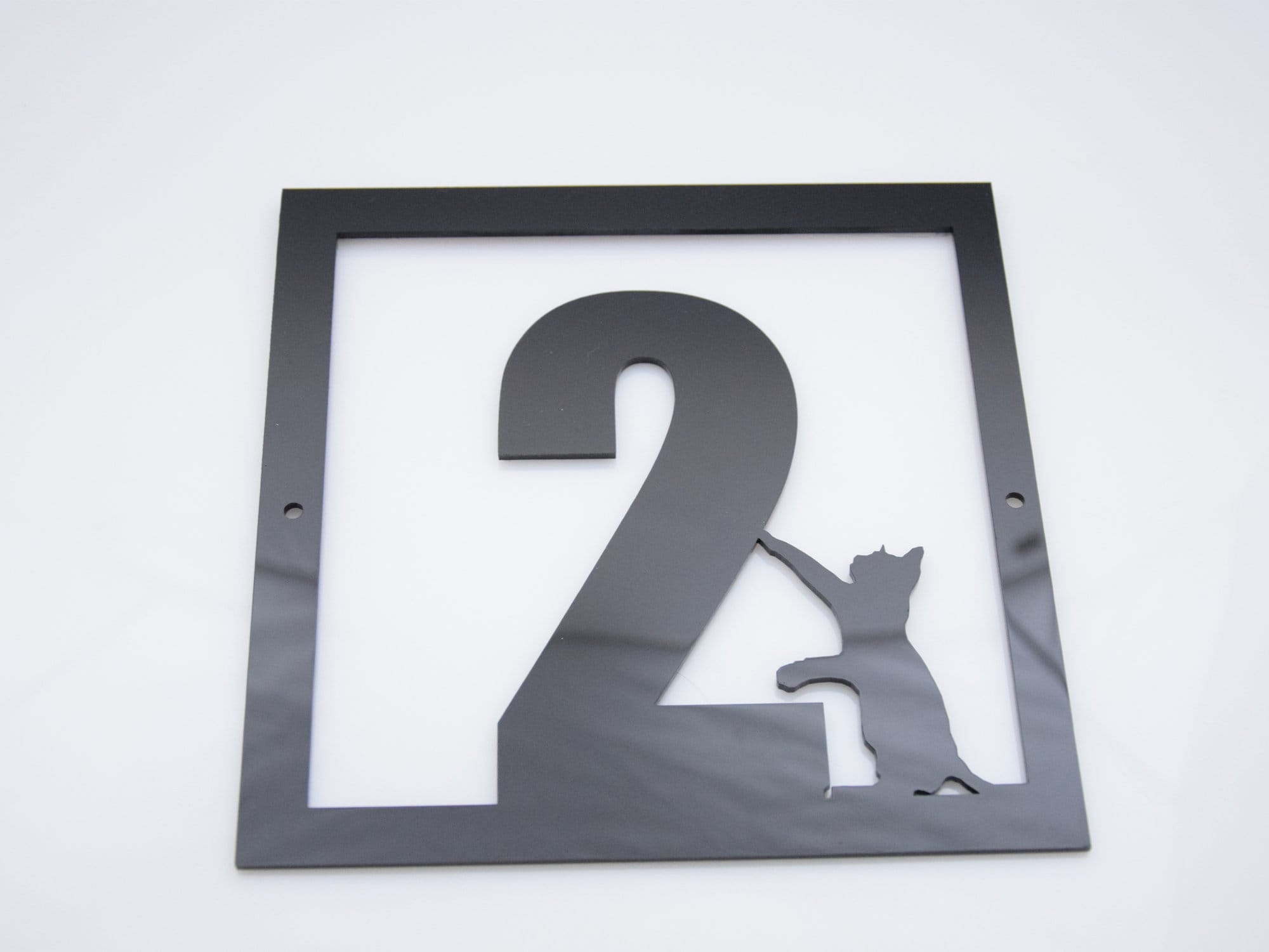 Modern House Numbers - Acrylic House Number With Custom Pet ...