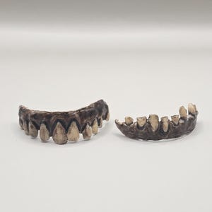 Psycho Clown FX Teeth - Etsy