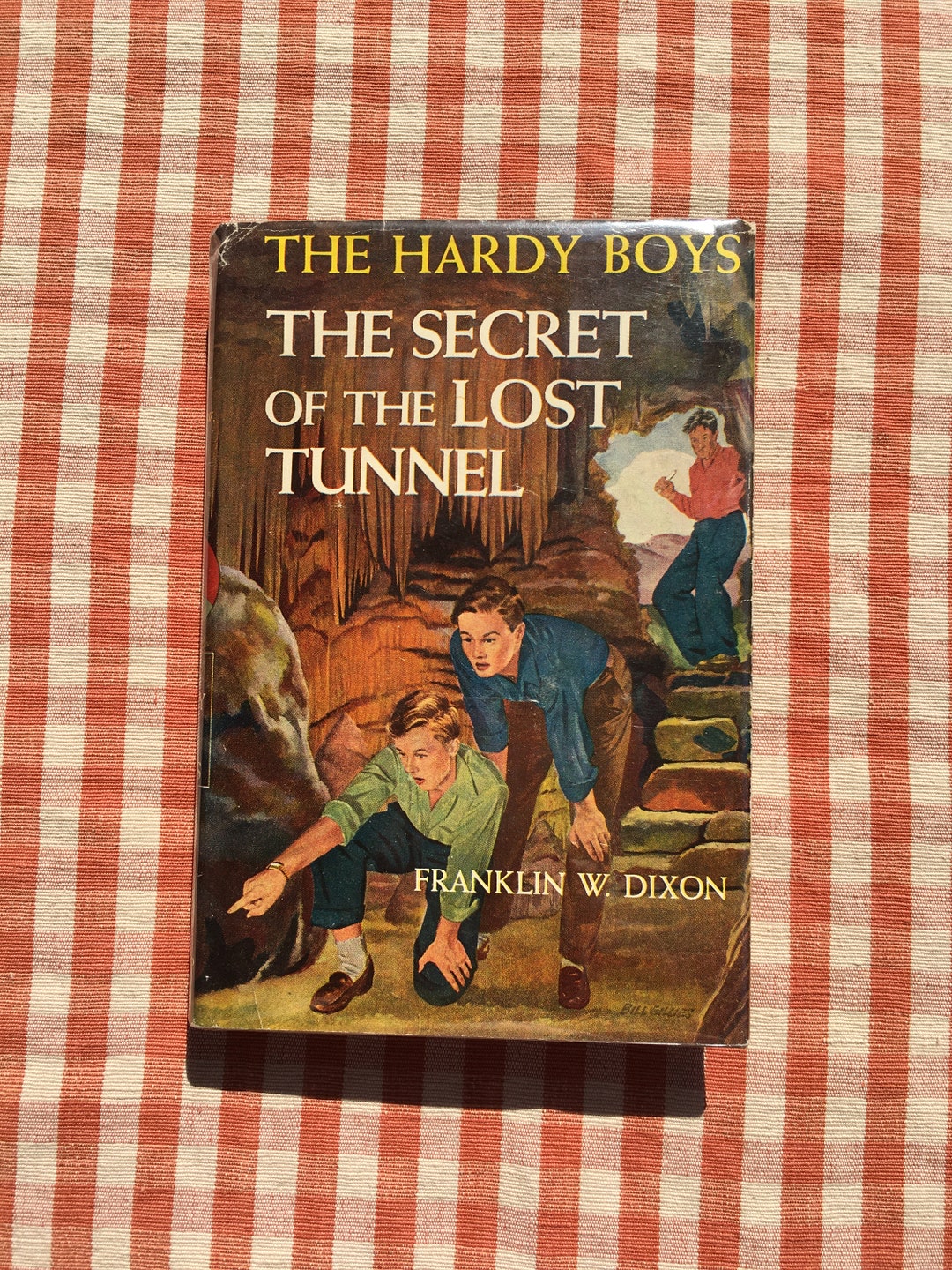Secret of the Lost Tunnel/ Hardy Boys/ Happytown Square - Etsy
