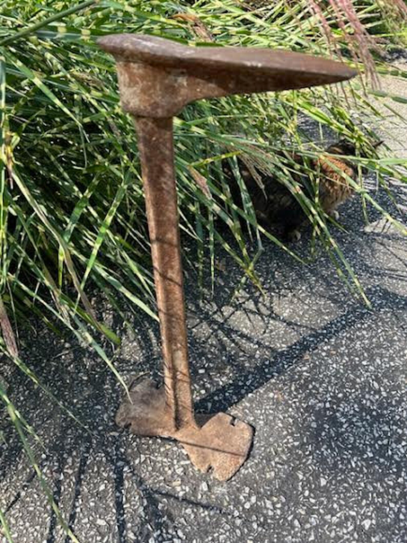 Vintage Shoemaker Cast Iron Stand Antique Cobbler Shoe Mold Form With ...