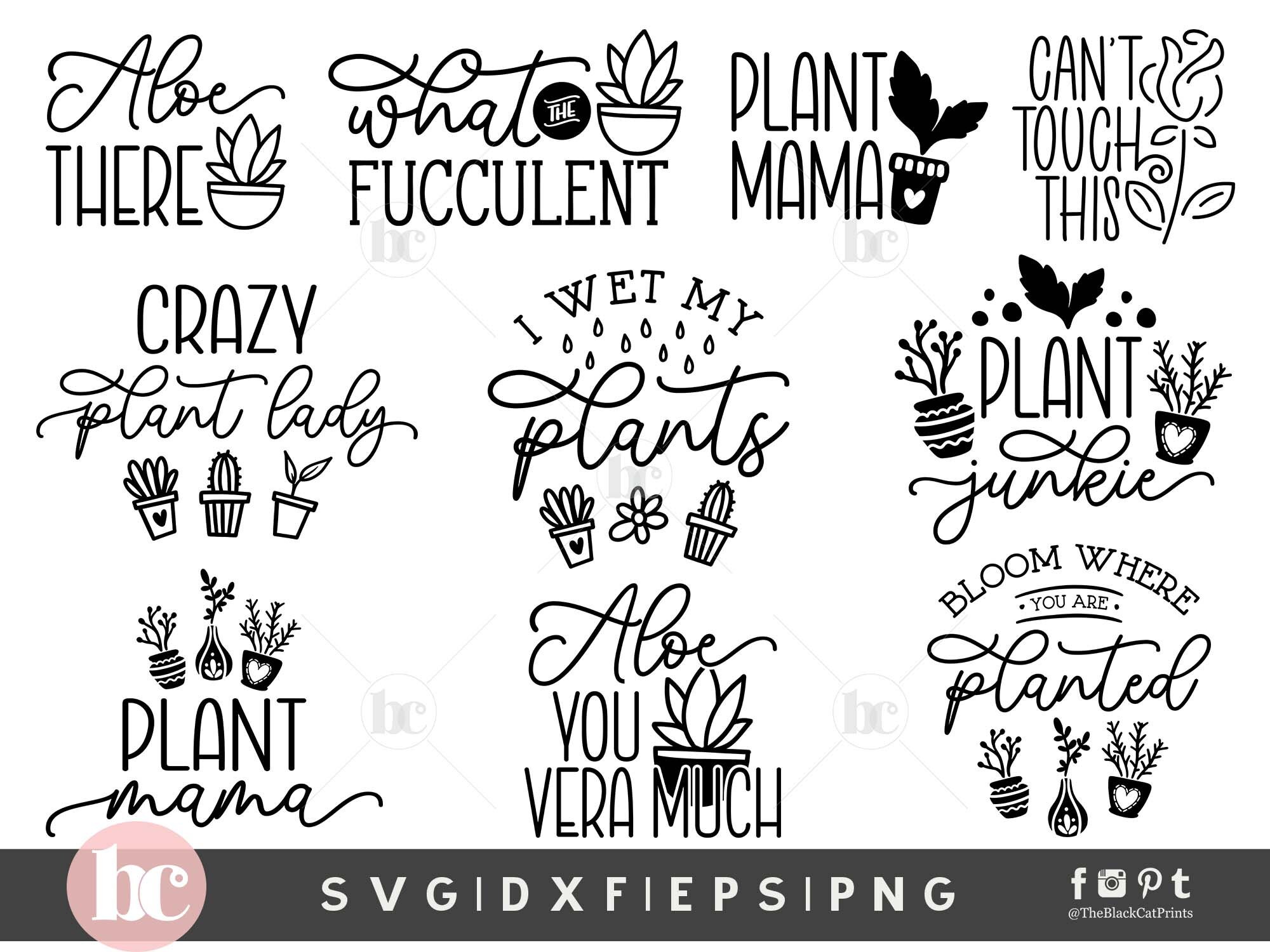 Plant Quotes Bundle Svg Cut Files Plants Bundle Svg Dxf Png | Etsy