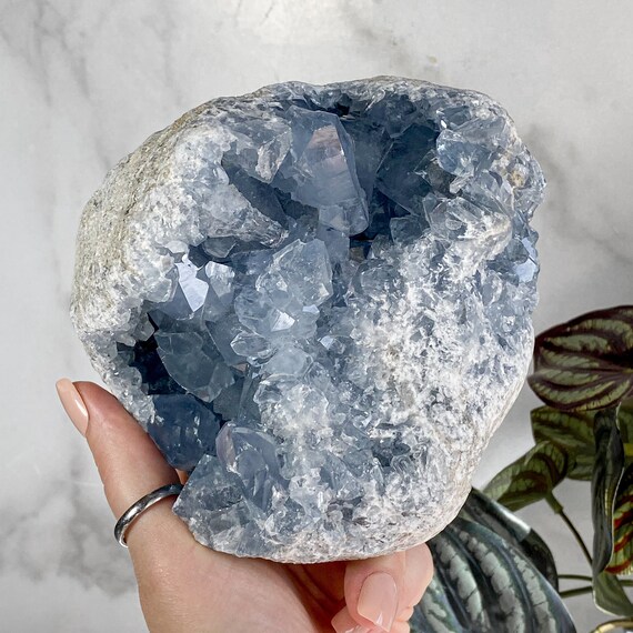 Celestite celestine Display Geode Stock A - Etsy